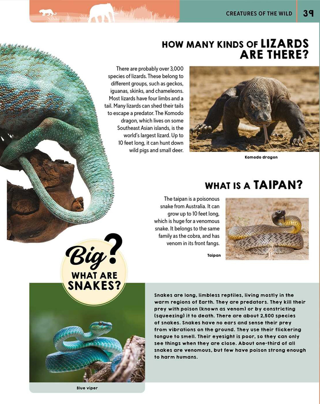 Learning is Fun. ULTIMATE QUESTIONS & ANSWERS-ANIMALS AND NATURE